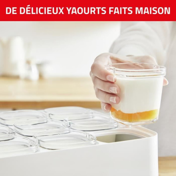 Yaourtiere Seb 12pots 140 Ml, Yaourts Et Desserts Maison, 5 Programmes ...