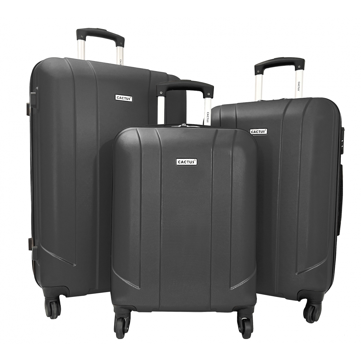 Valise Cactus Avis