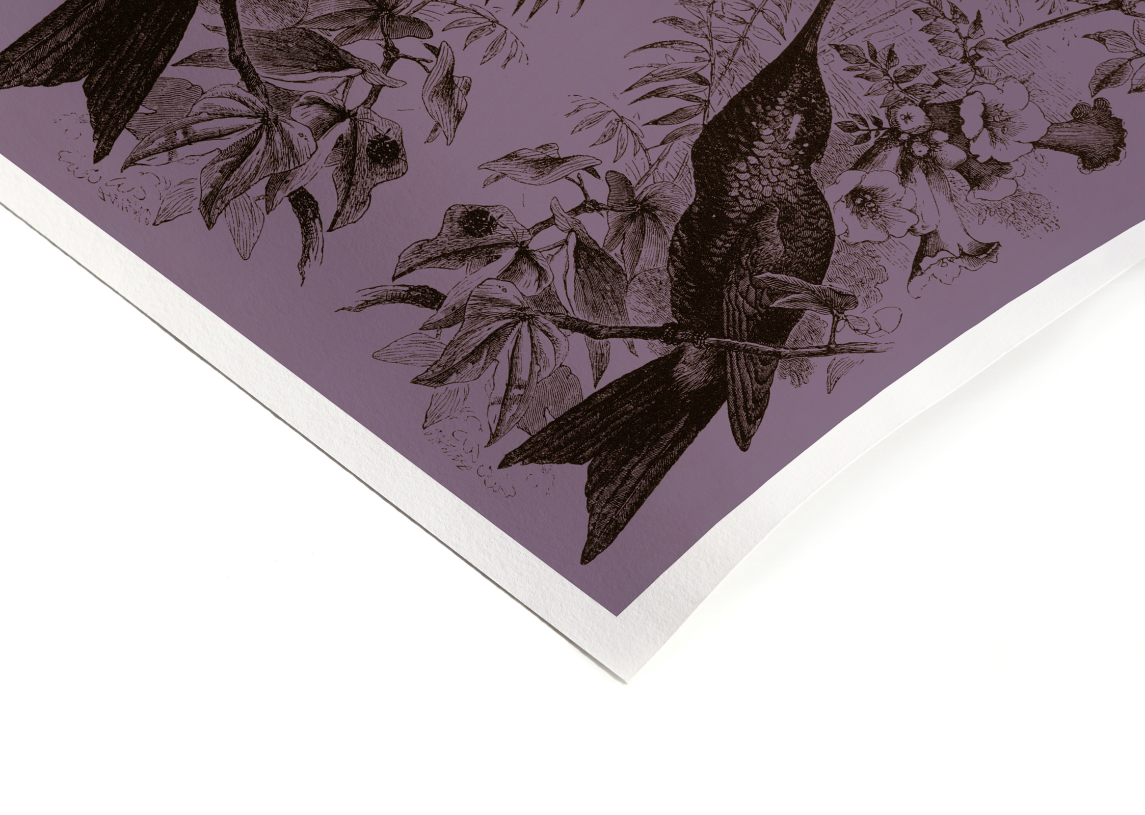 Nature - Signature Poster - Birds - 40x60 Cm à Prix Carrefour