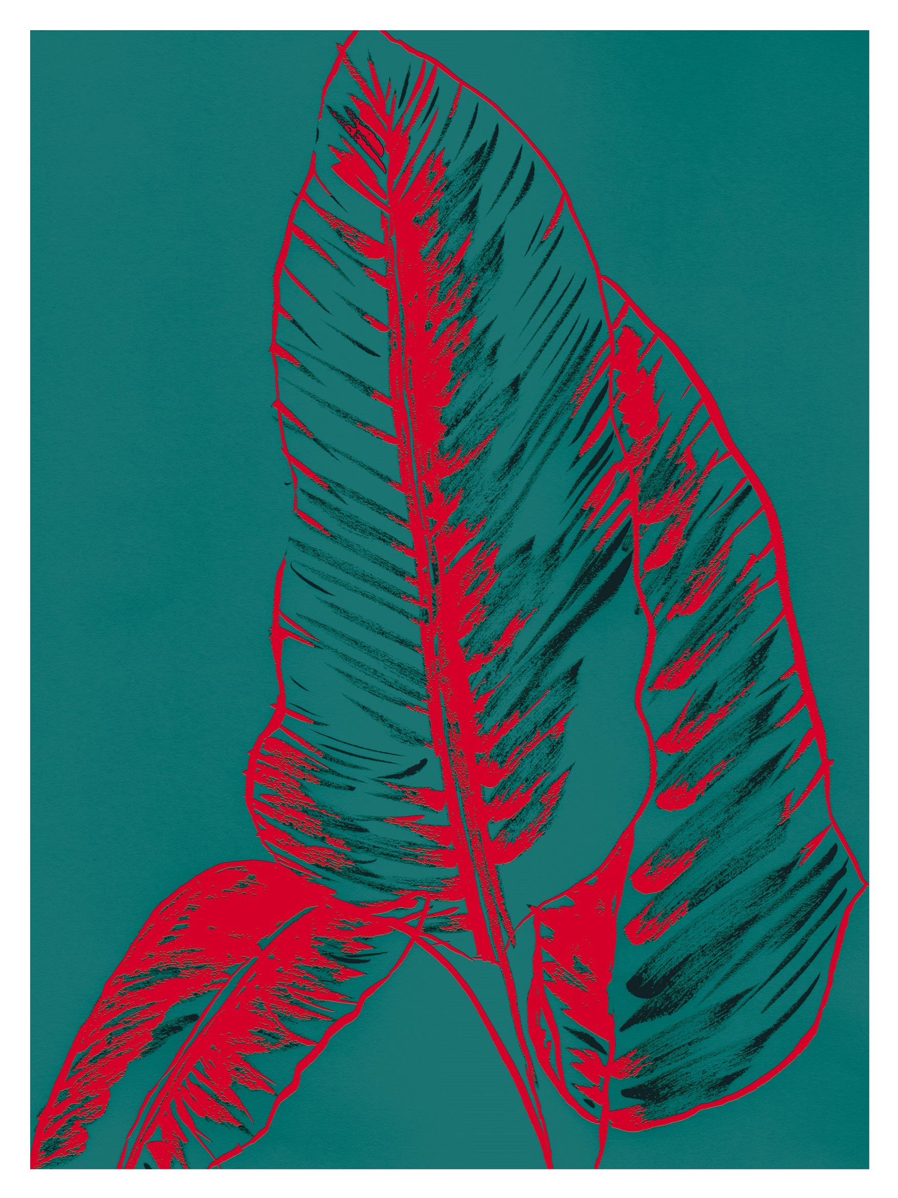Nature - Signature Poster - Palm Leaf - 21x30 Cm à Prix Carrefour