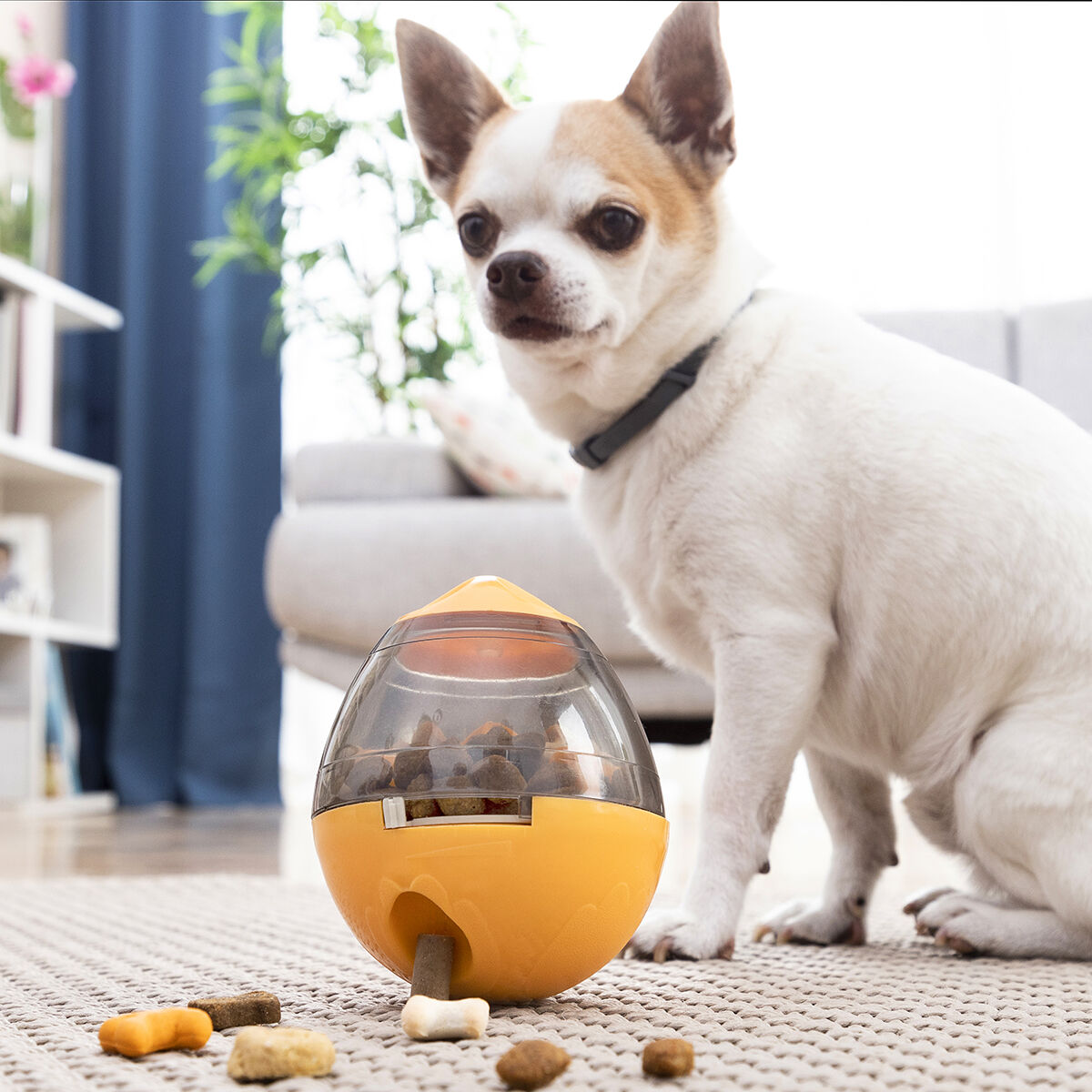 Jouet Distributeur De Friandises Pour Animaux2 En 1 Petyt Innovagoods à ...