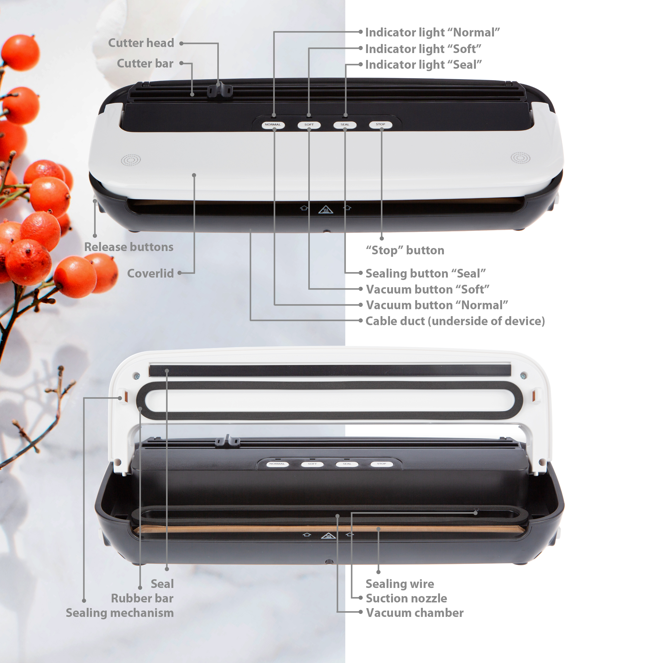 Système Mise Sous Vide Zoomyo, Dispositif Scellage, Pour Cuisson Sous ...