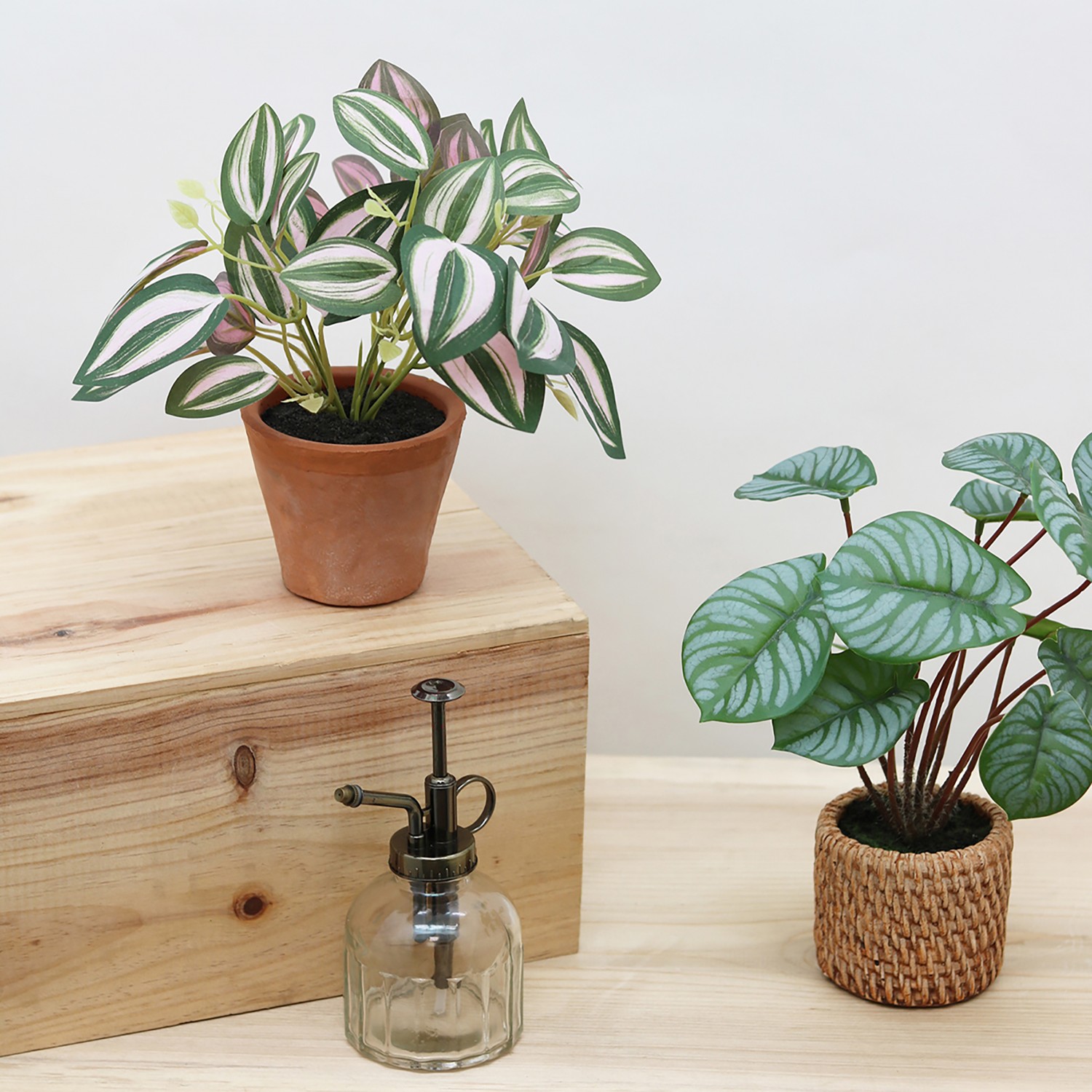 Plante Tradescantia Artificielle En Pot 20cm à Prix Carrefour