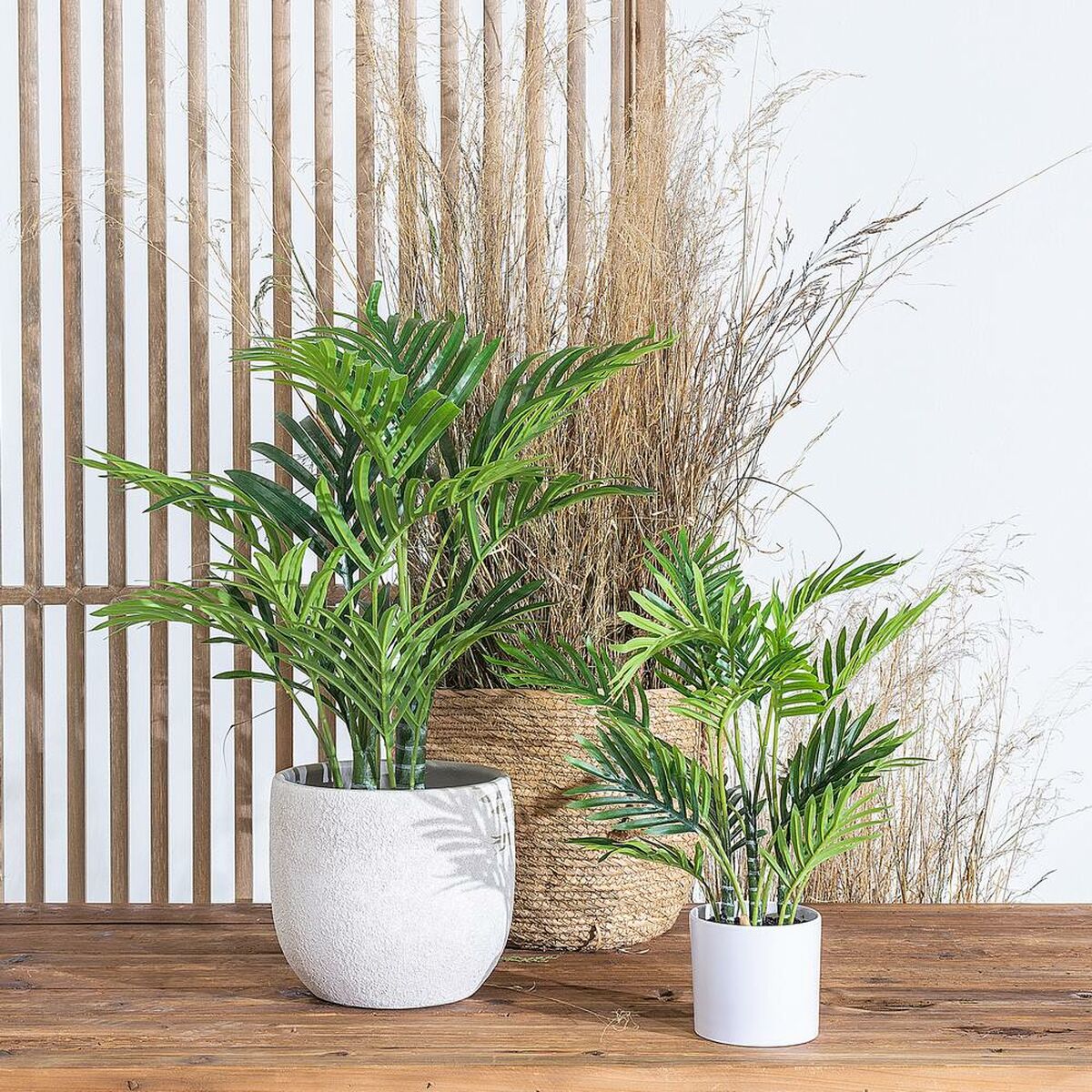 Plante Décorative 35 X 35 X 55 Cm Vert à Prix Carrefour