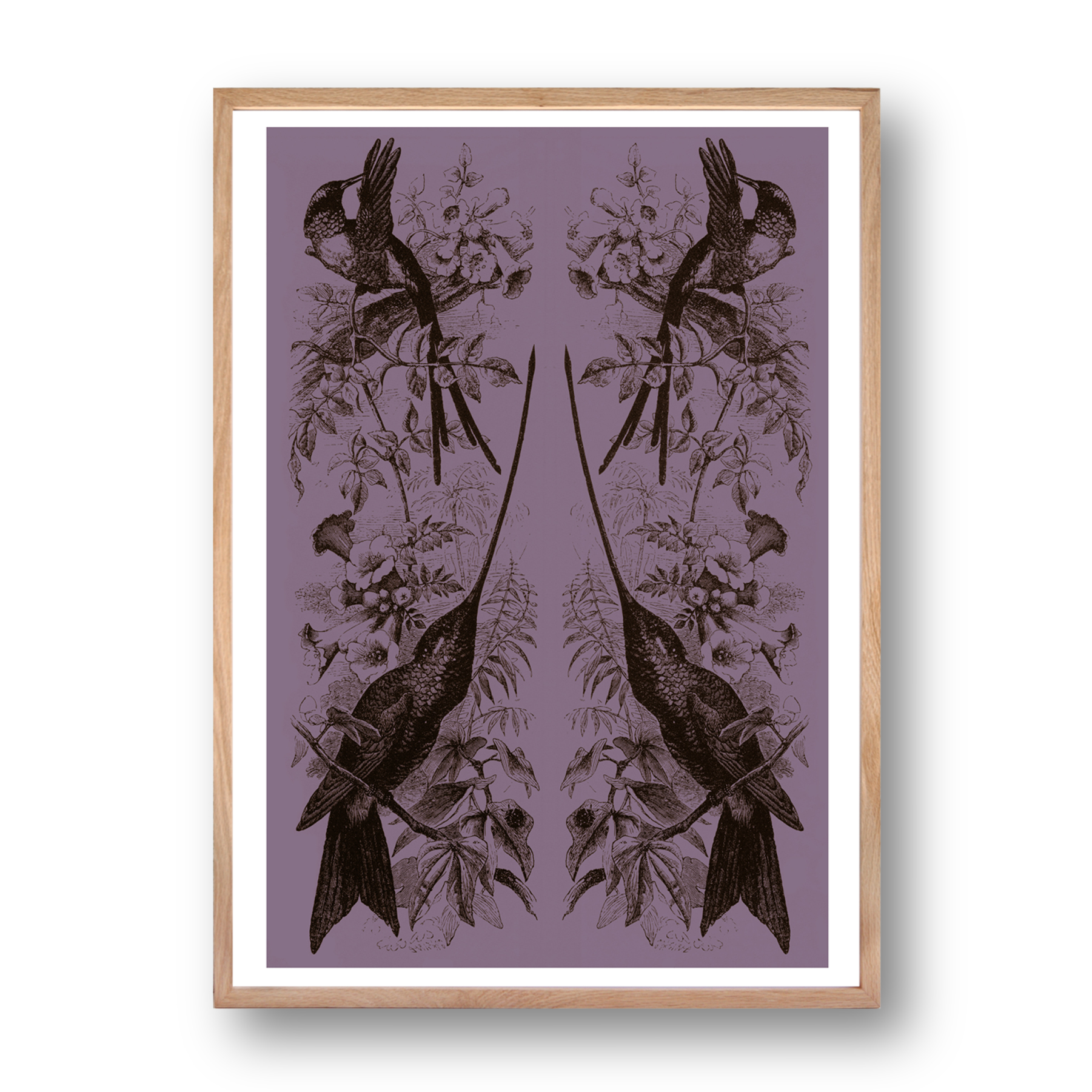 Nature - Signature Poster - Birds - 40x60 Cm à Prix Carrefour