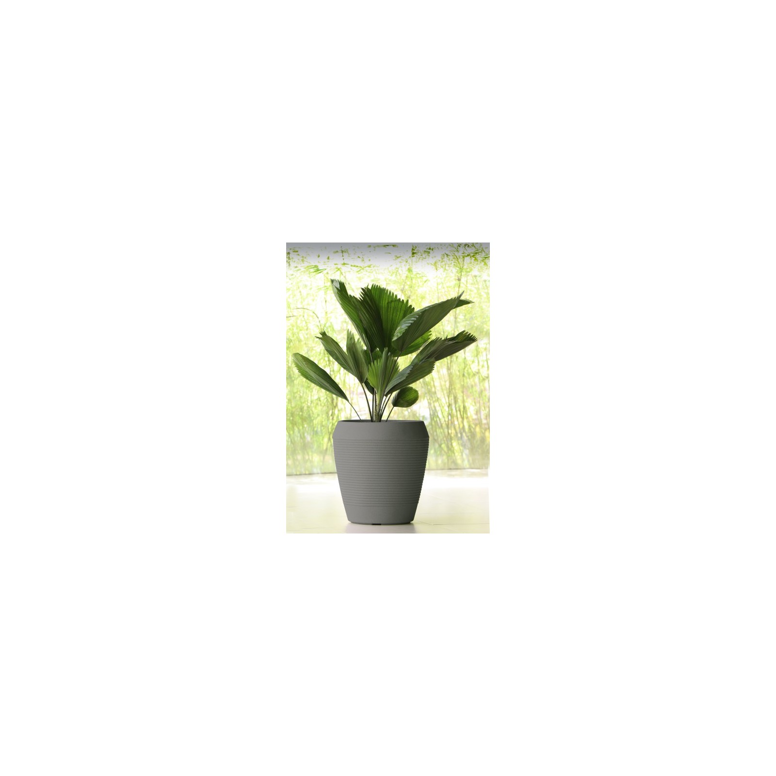 Pot De Fleurs Egypte, 44cm, Plastique Tramontina à Prix Carrefour
