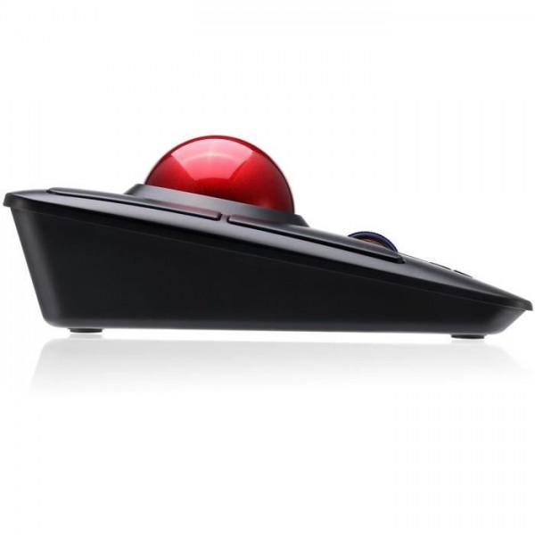 Adesso Souris Trackball Ergonomique T50 à Prix Carrefour