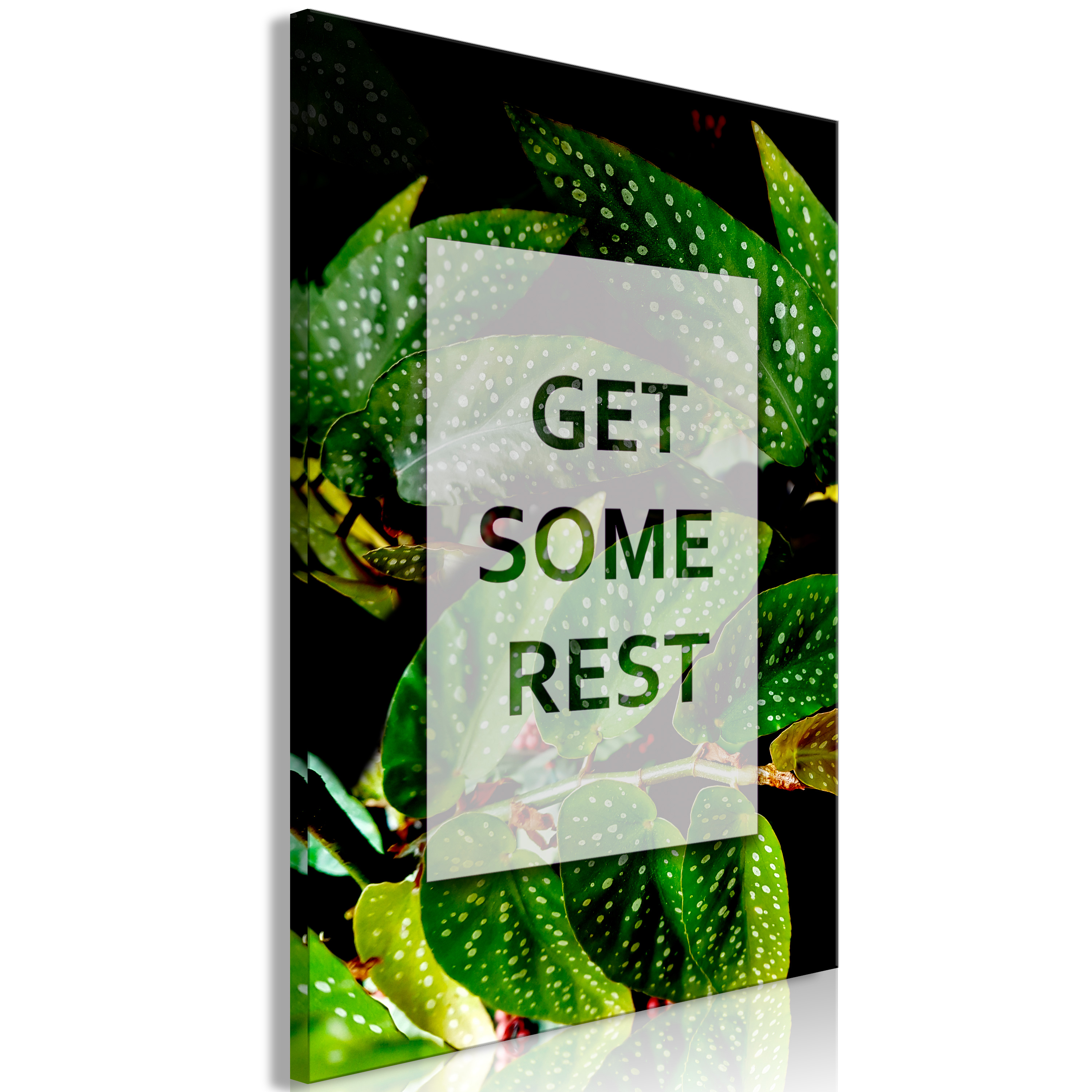 Tableau - Get Some Rest (1 Part) Vertical [20x30] à Prix Carrefour
