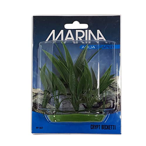 Marina Aquascaper Crypt Beckettii Plante à Prix Carrefour