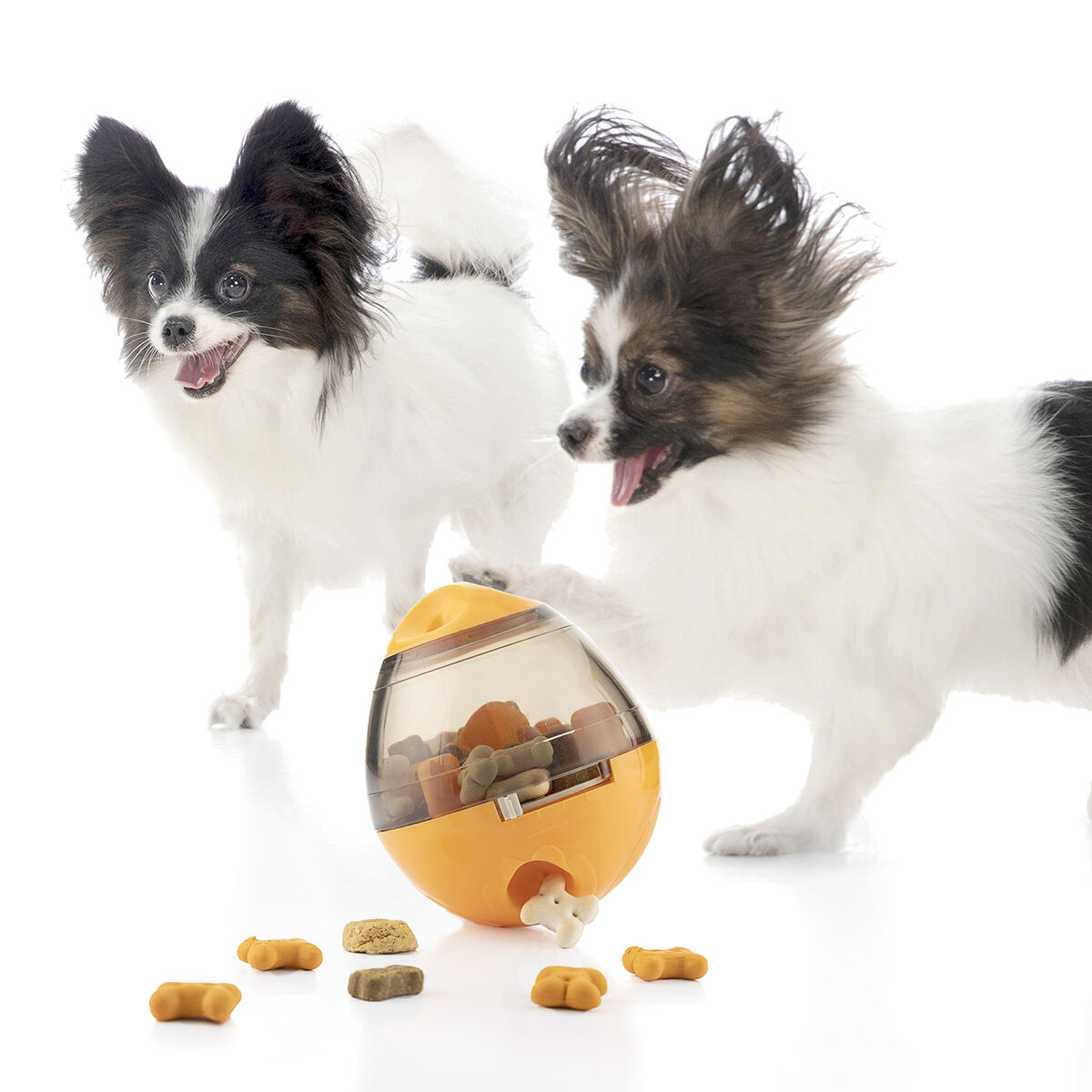 Jouet Distributeur De Friandises Pour Animaux2 En 1 Petyt Innovagoods à ...