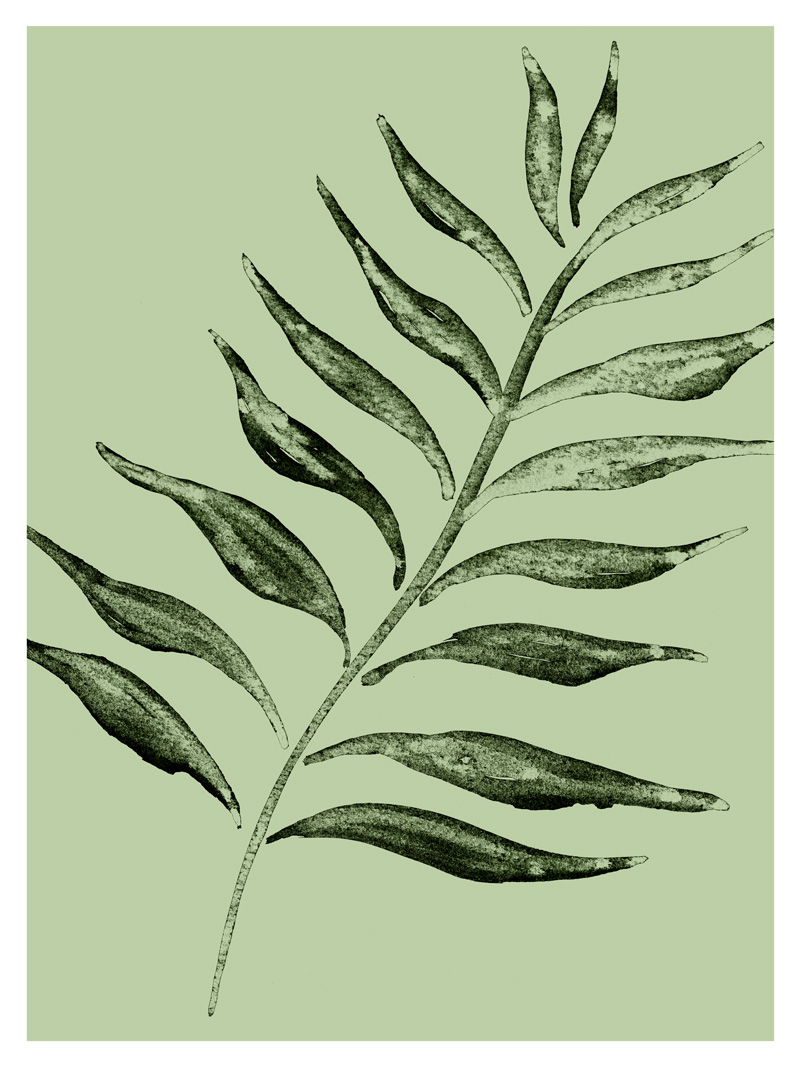 Nature - Signature Poster - Green Leaf - 60x80 Cm à Prix Carrefour